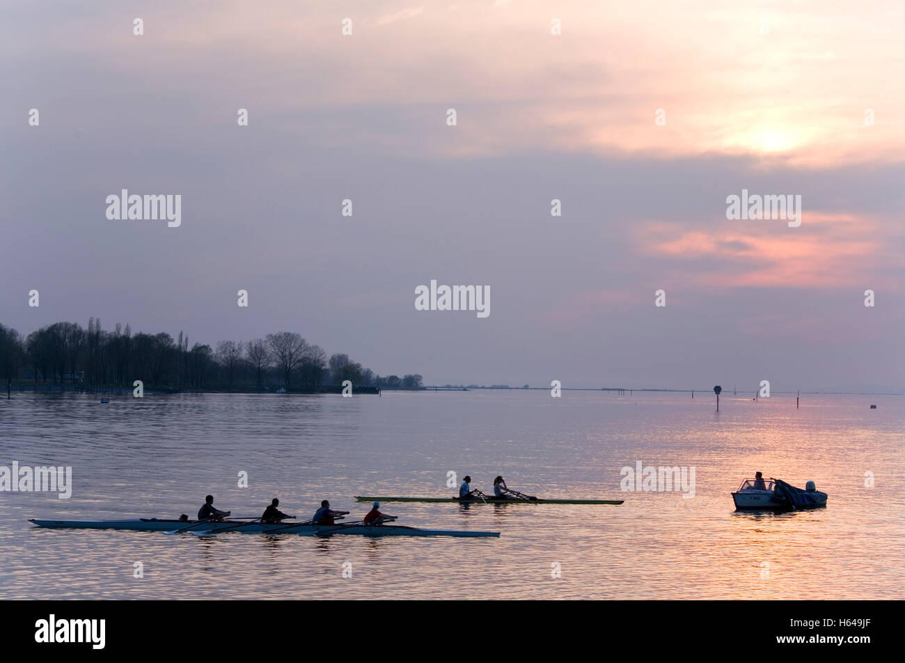 Four and two rowing boats during training, support boat, Lake Constance ...
