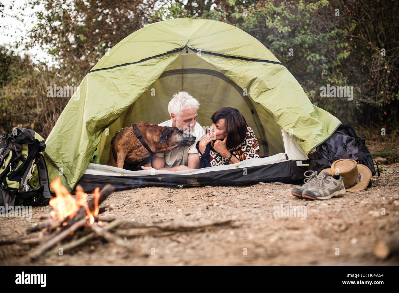 Campfire animals hi-res stock photography and images - Alamy