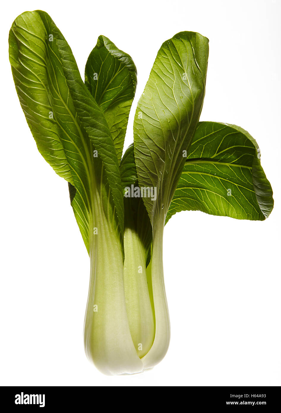 Pak Choy, close up Stock Photo - Alamy