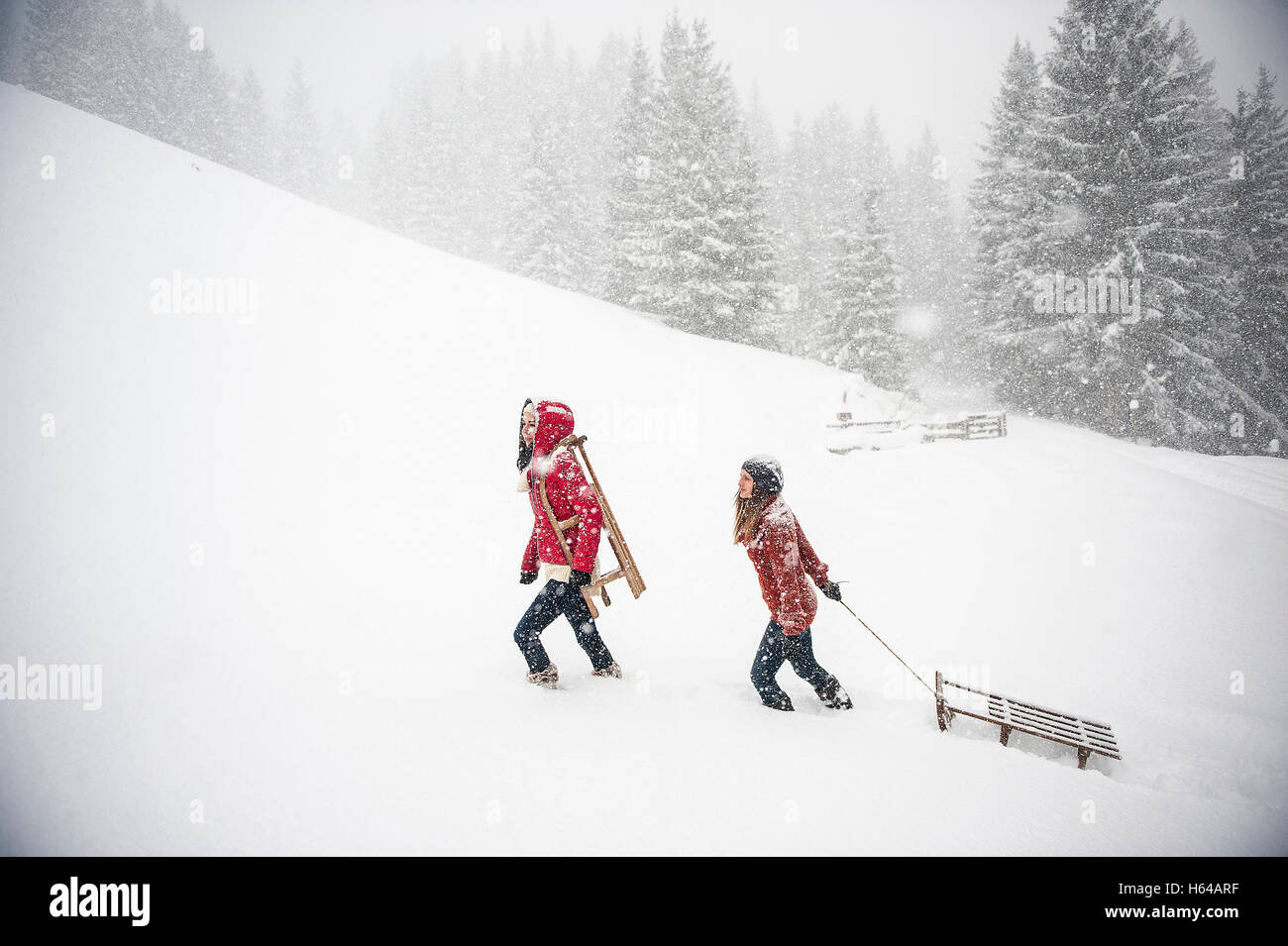 Two young women with sledges in heavy snowfall Stock Photo - Alamy