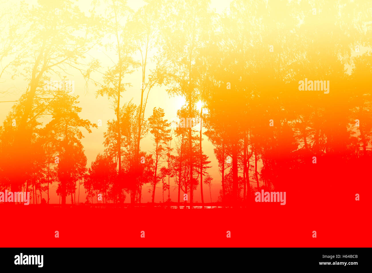 Beautiful fire forest in red tones photographed in close-up Stock Photo ...