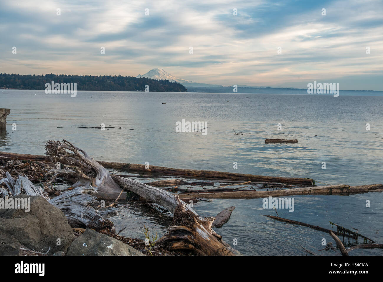 A view of Mount Rainier from Three Tree Point in Burien, Washington ...