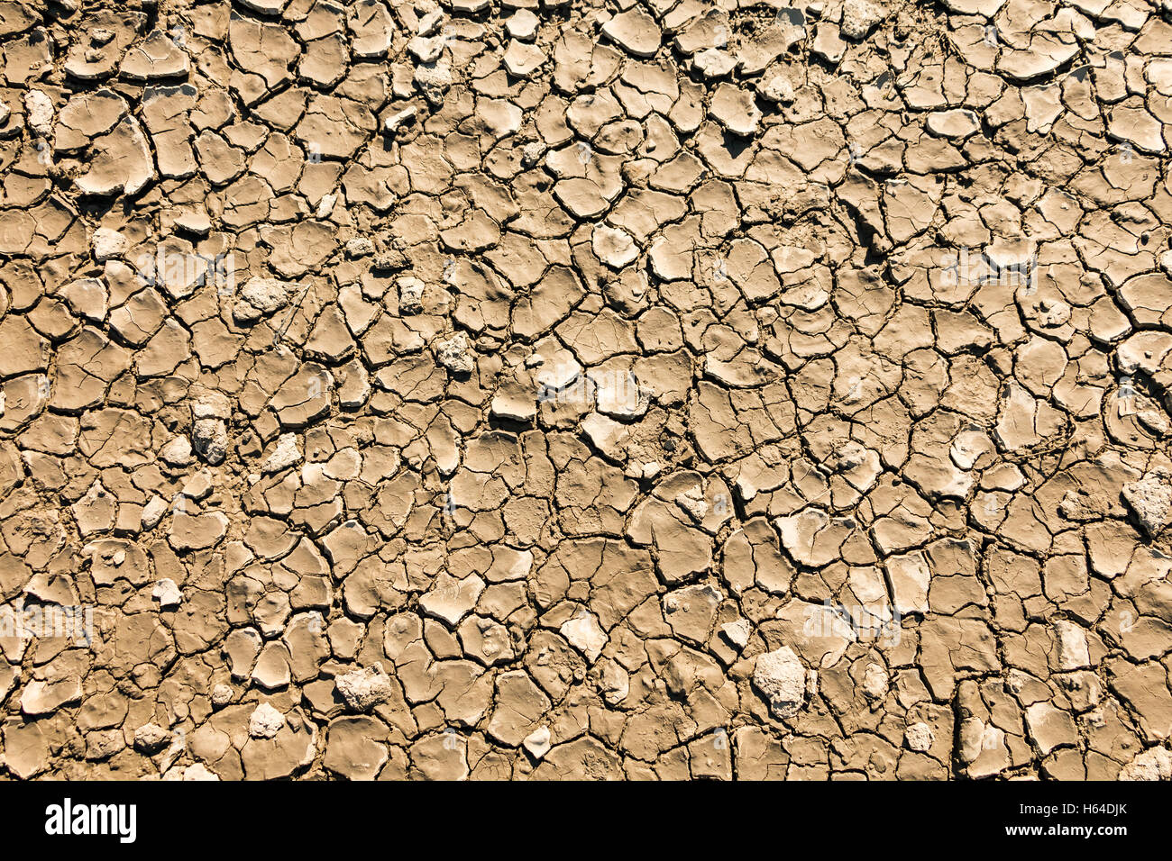 dry, cracked mud background texture Stock Photo - Alamy dry, cracked mud background texture Stock Photo - Alamy