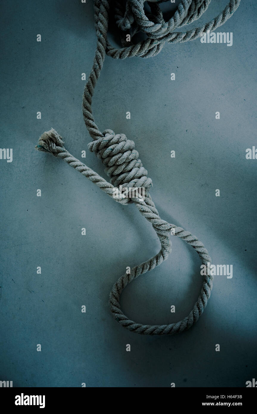 Rope with noose Stock Photo - Alamy