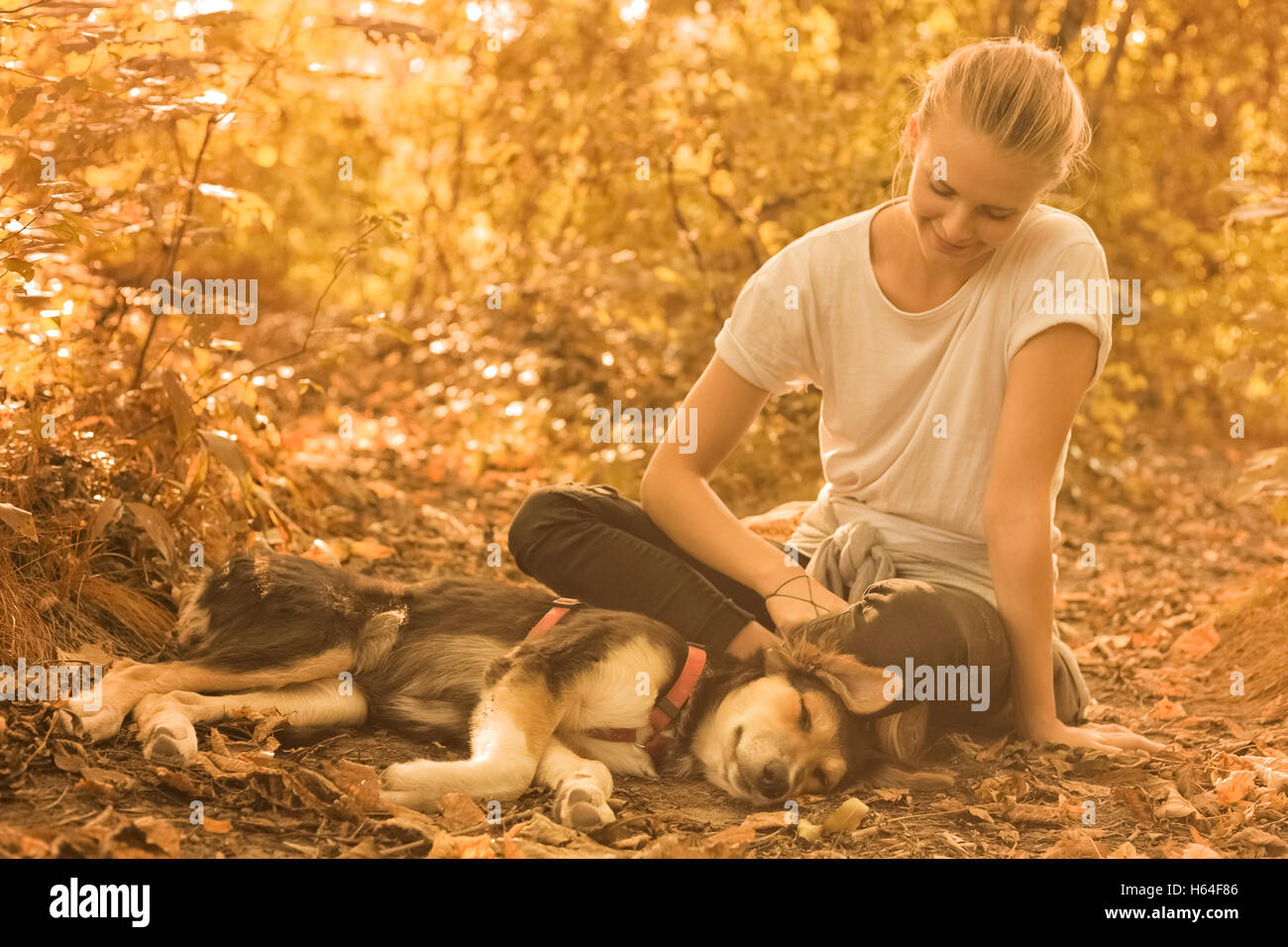 Young woman relaxing with her dog in nature Stock Photo - Alamy