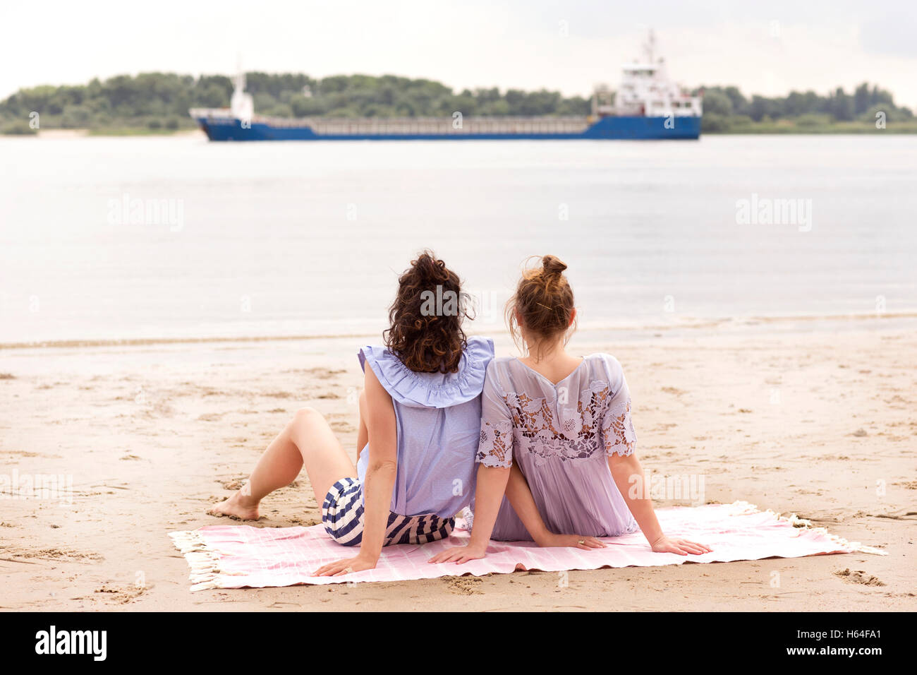 Back view of two friends sitting side by side on the beach watching a ...