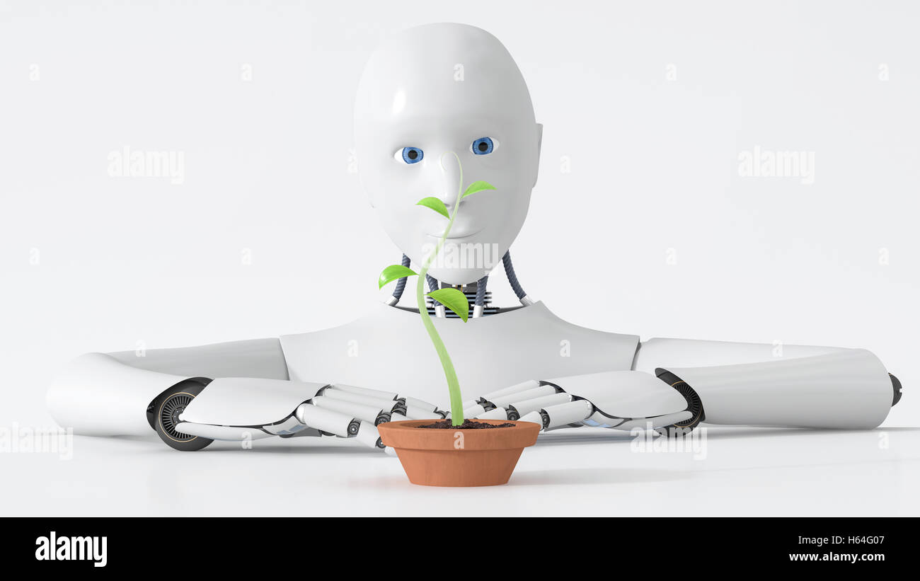 Robot Plant Pot For Sale at Annabelle Raggatt blog