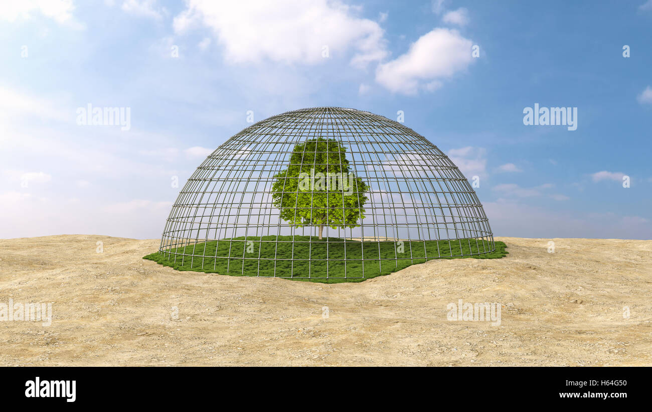 Tree on grass under domed grid Stock Photo - Alamy