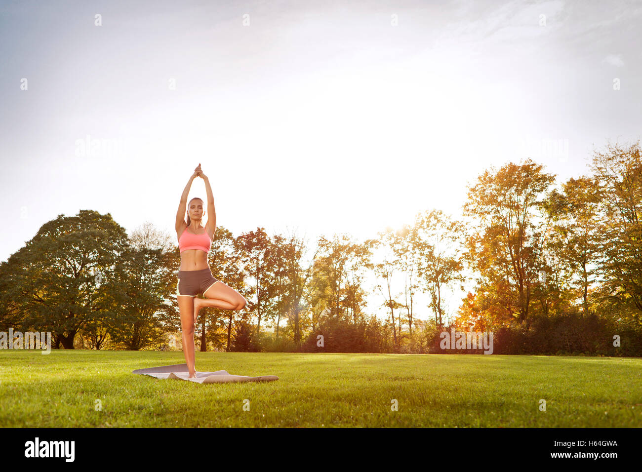 Woman standing in tree position in park Stock Photo - Alamy