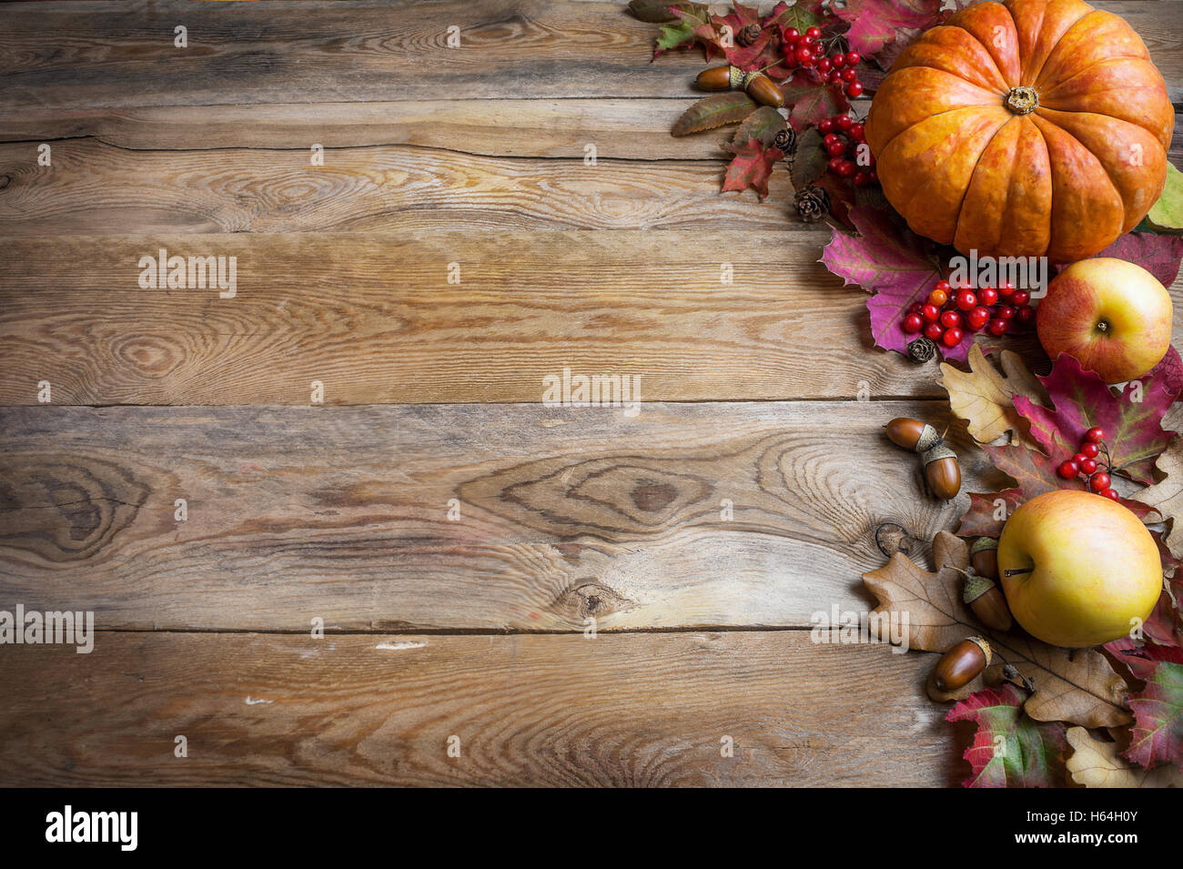 Thanksgiving or fall greeting with orange pumpkins and fall leaves on ...