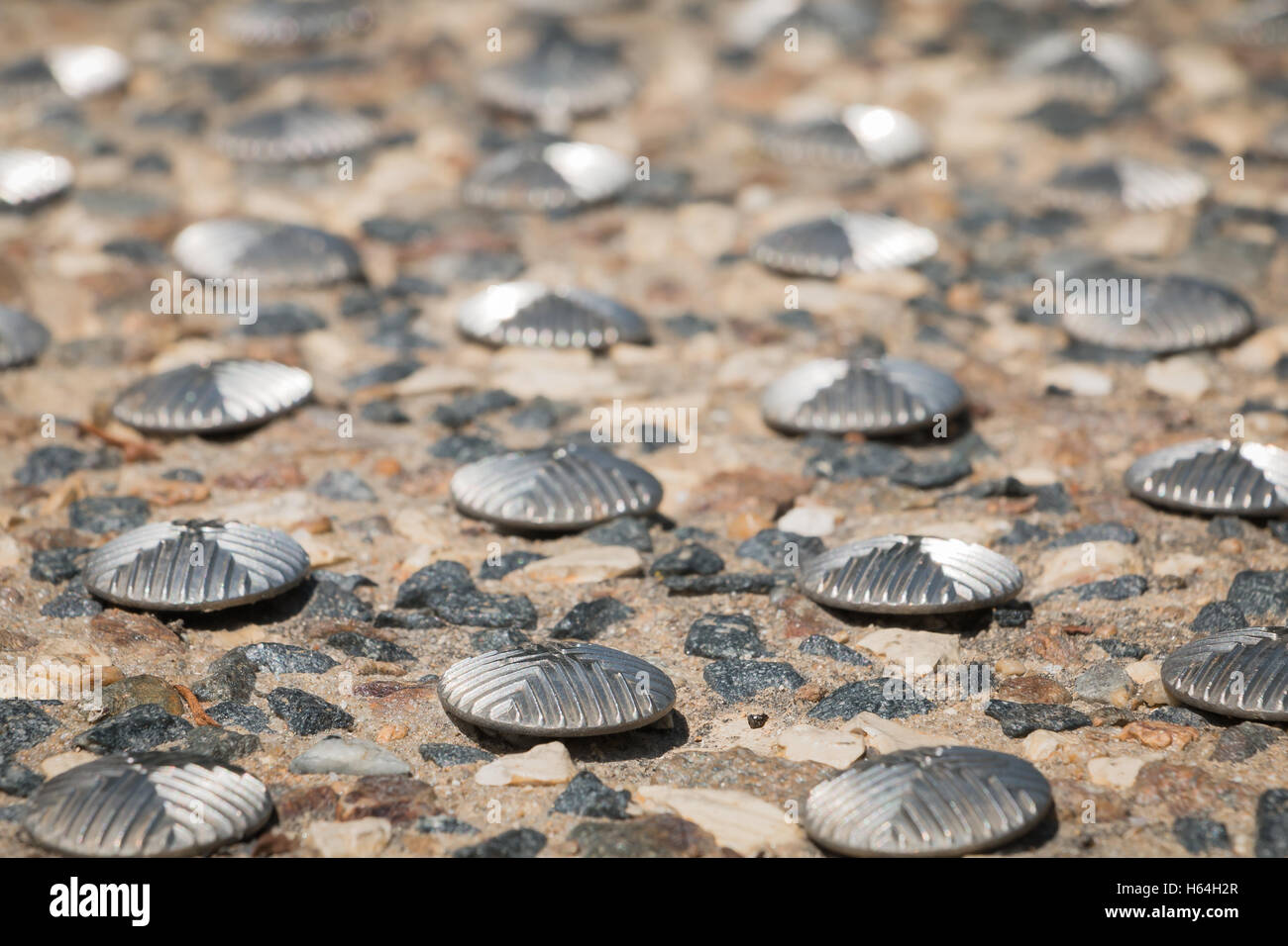 road nail on a zebra crossing Stock Photo - Alamy