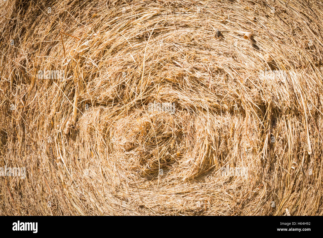 haystack close-up background Stock Photo - Alamy