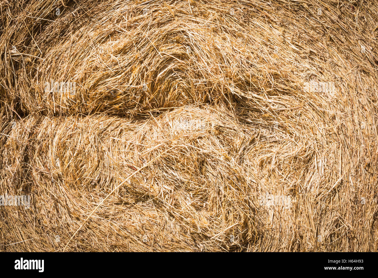 haystack close-up background Stock Photo - Alamy