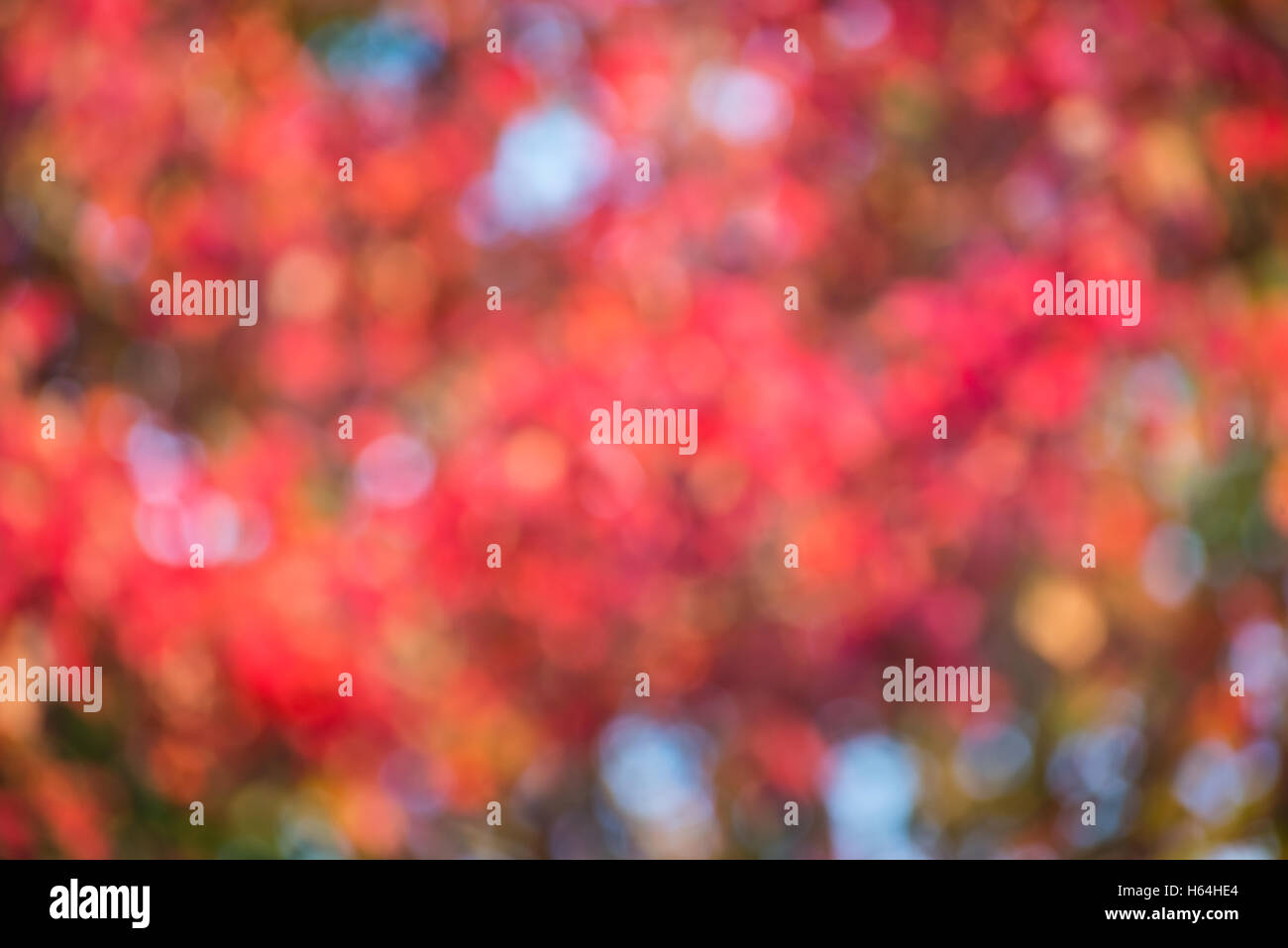 Abstract fall background hi-res stock photography and images - Alamy