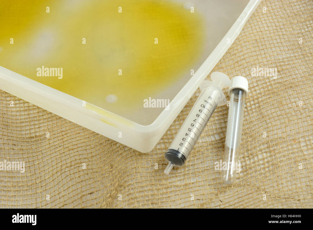 Take home Veterinary urine sample collection kit for female dogs Stock ...