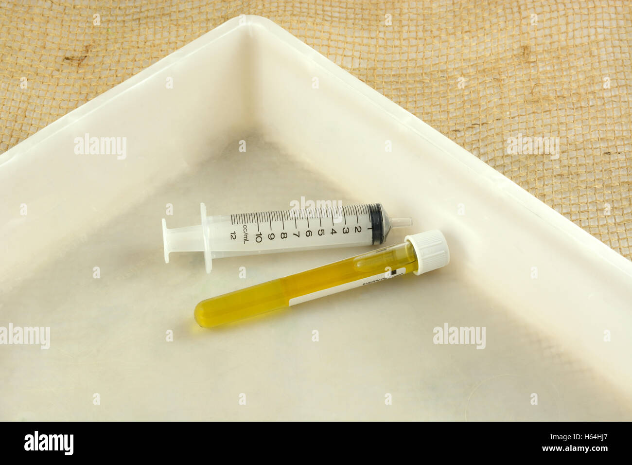 Take home Veterinary urine sample collection kit for female dogs Stock ...