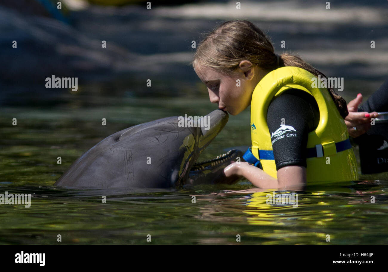 Melanie Cooper, 12, from Gosport, enjoys a swim with a dolphin during ...
