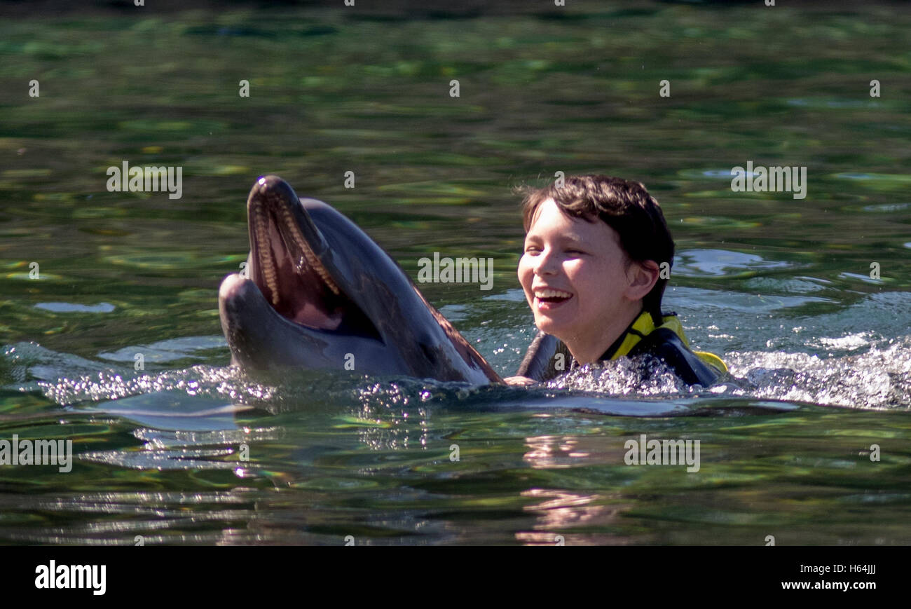 Esther Castle, 14, from Lancaster, enjoys a swim with a dolphin during ...
