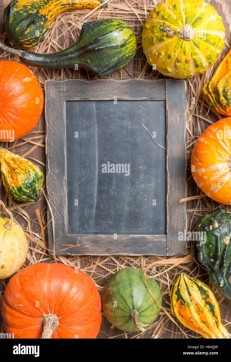 Autumn frame from decorative Pumpkins Stock Photo - Alamy