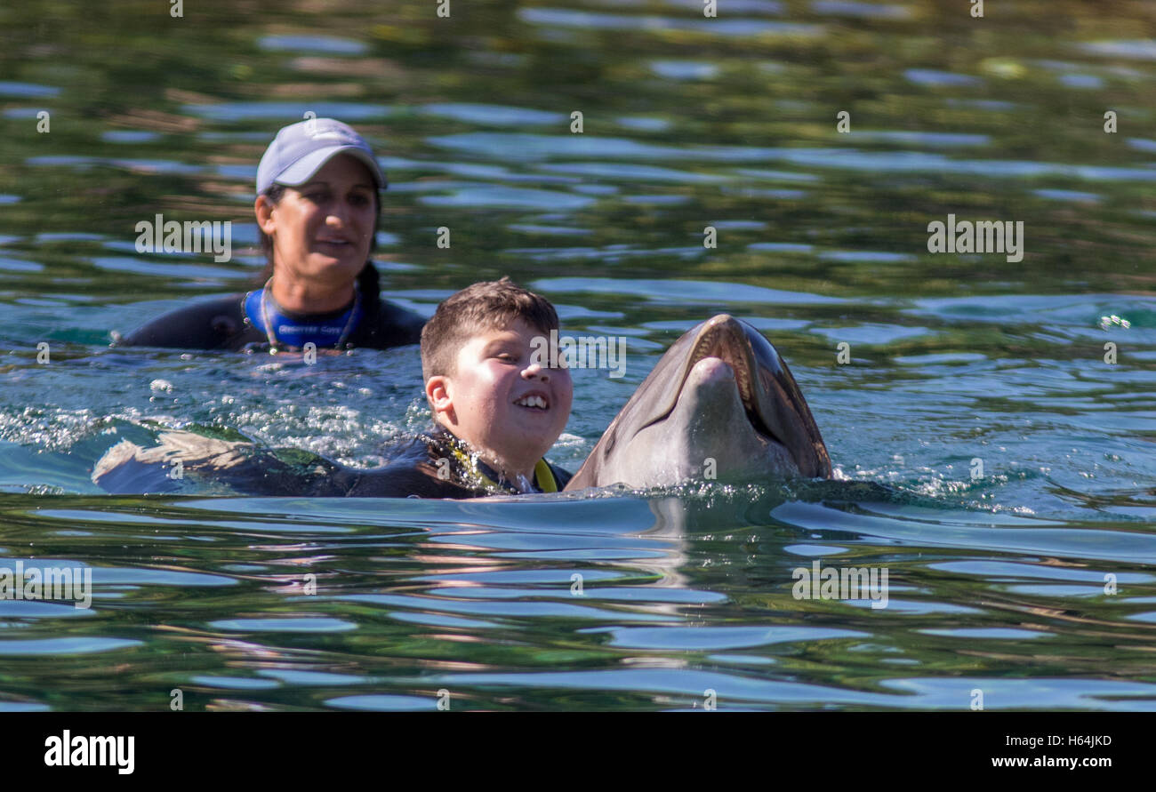 Jacob Isherwood, 11, from Barnsley, enjoys a swim with a dolphin during ...