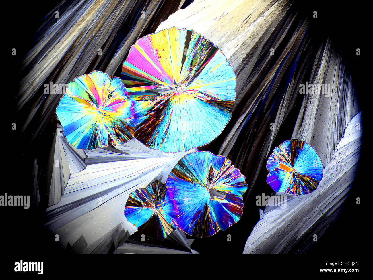 Crystals of citric acid, a common food additive Stock Photo - Alamy