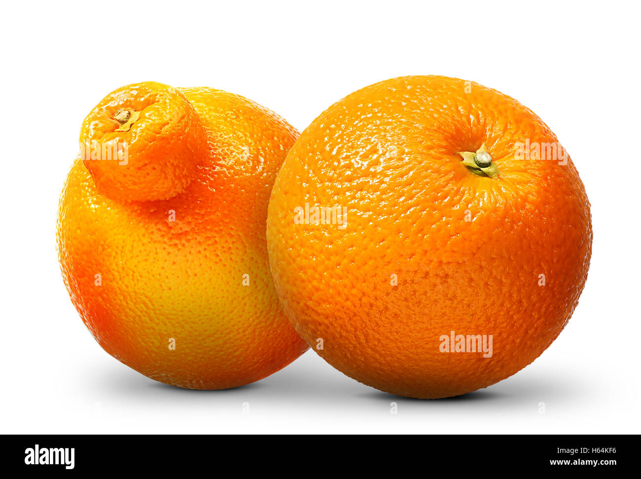 Group of oranges and mandarins isolated on white Stock Photo - Alamy