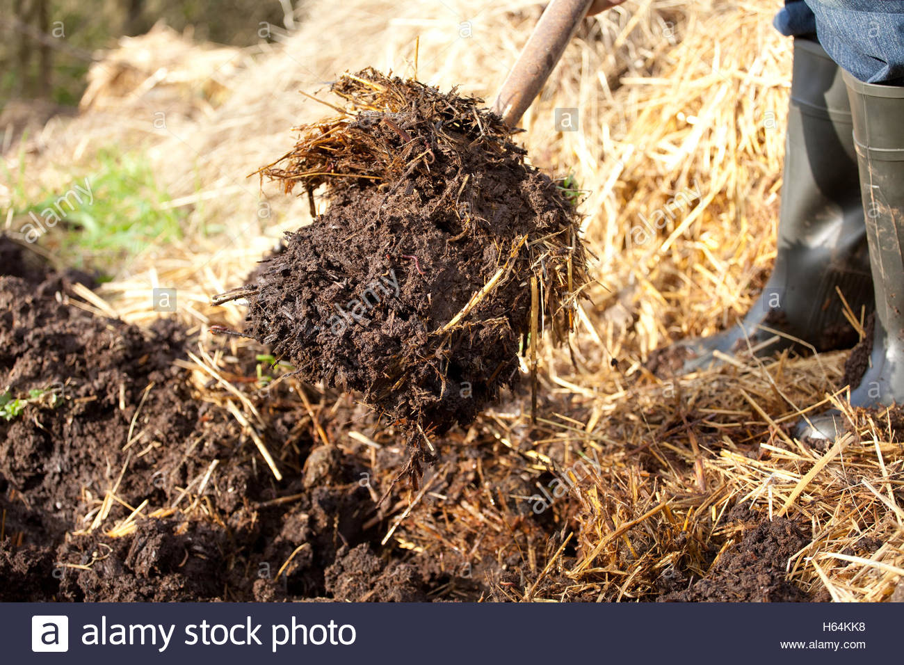 Pile Of Rotted Horse Manure High Resolution Stock Photography and ...