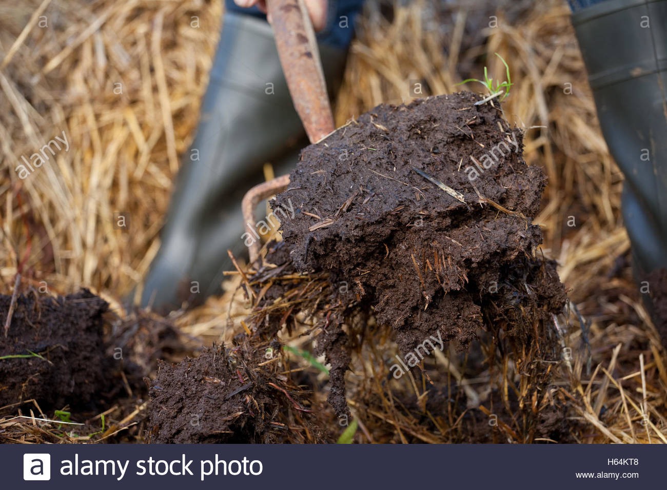 Horse Manure Pile High Resolution Stock Photography and Images - Alamy