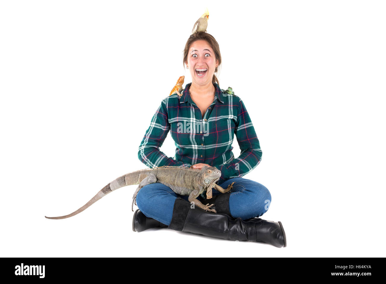 Girl with several pet animals isolated in white Stock Photo - Alamy