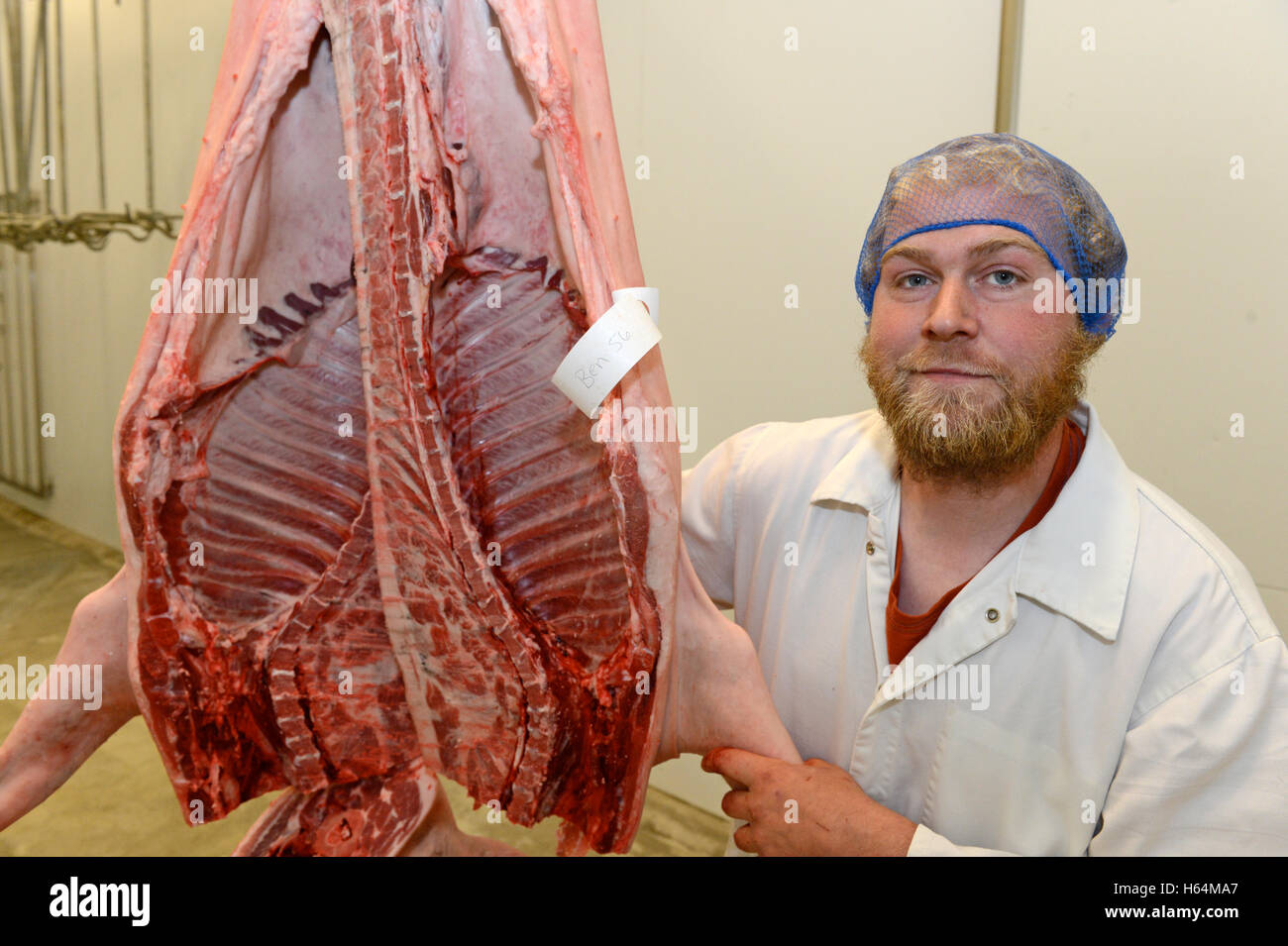 Abattoir hi-res stock photography and images - Alamy