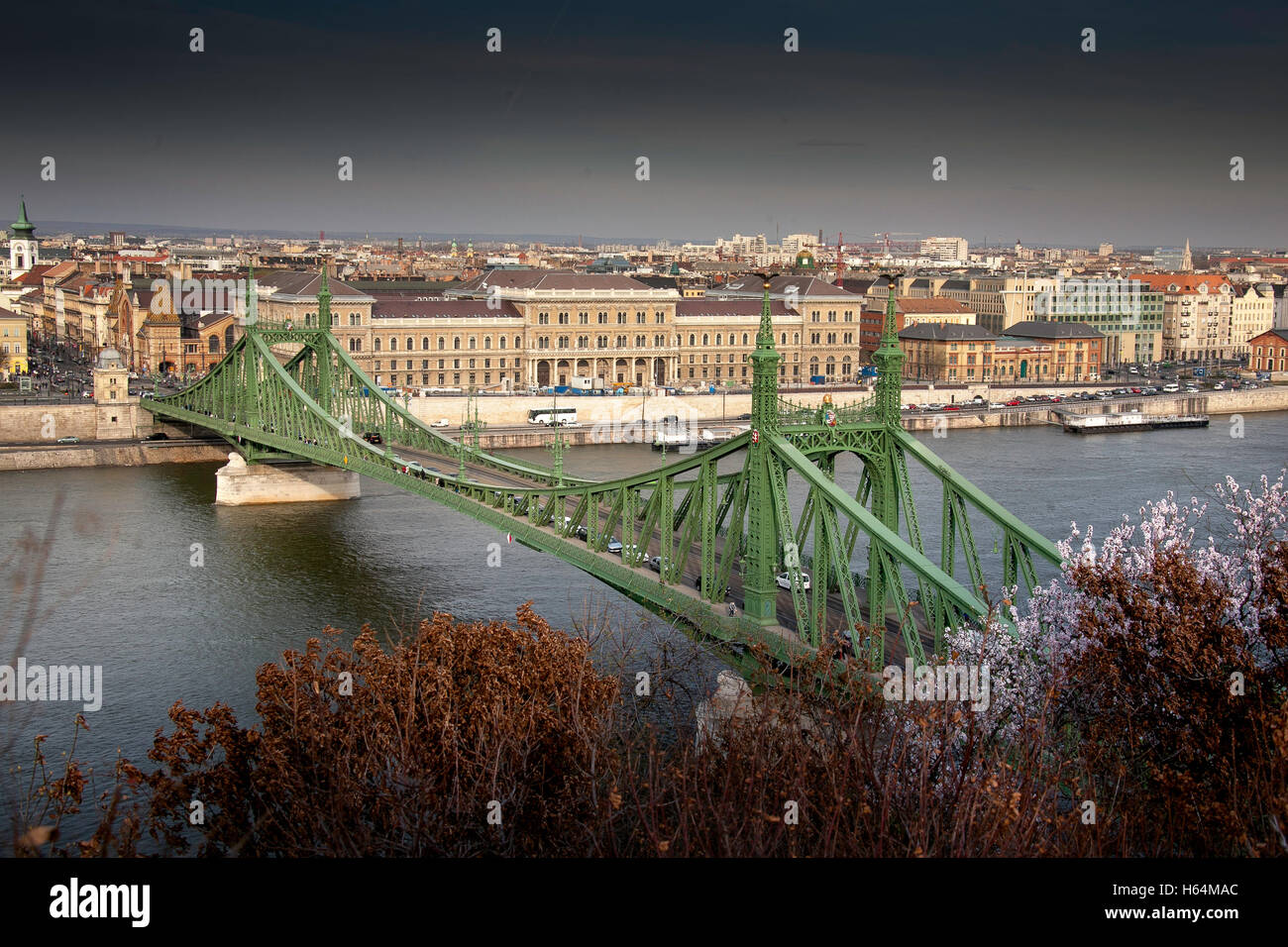 Budapest, capital of Hungary, The Bridge of Liberty - inaugurated by ...
