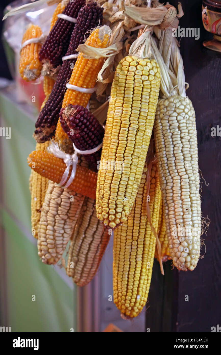 Old corn cob. Autumn vegetables Stock Photo - Alamy