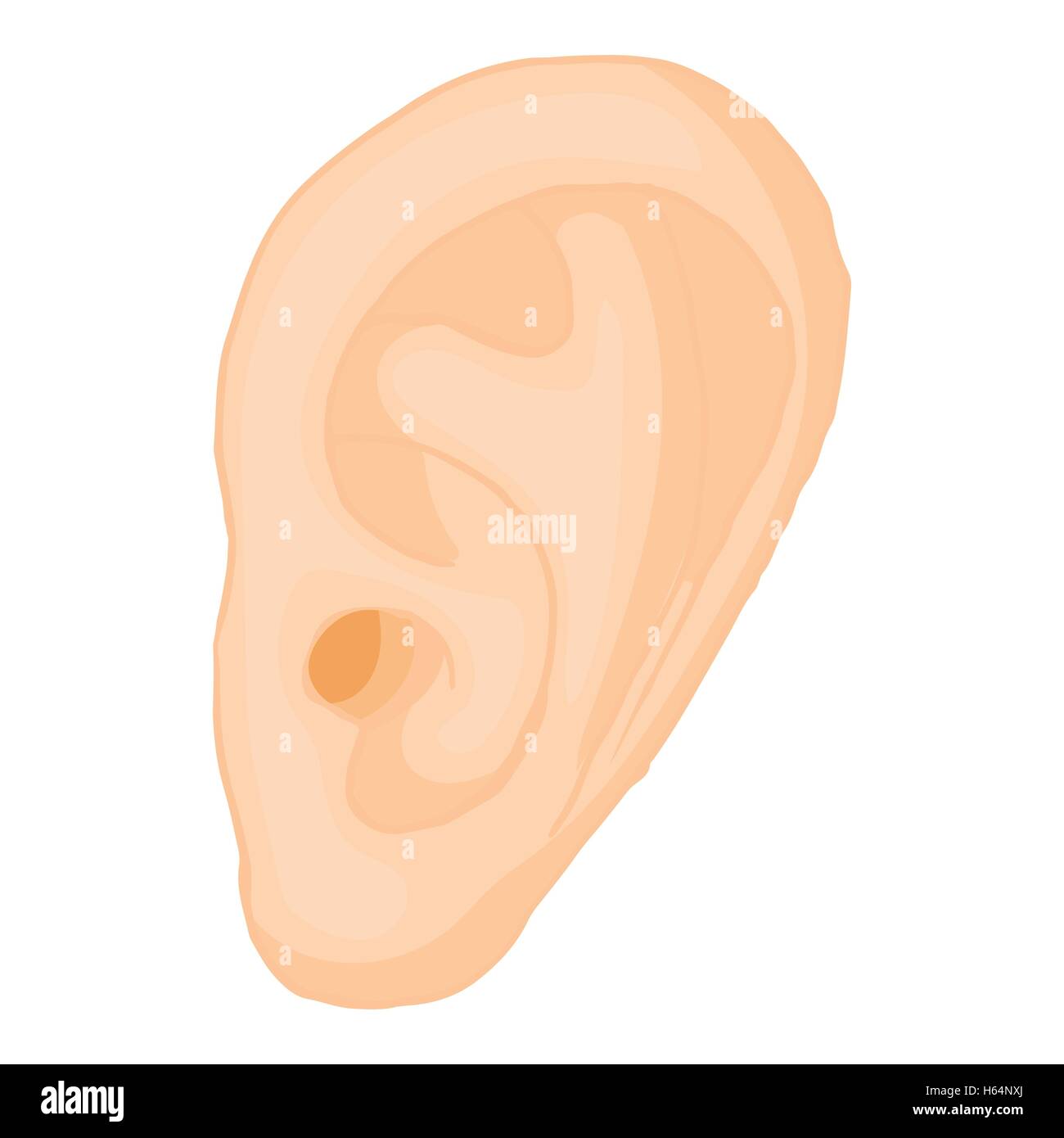 Human ear icon in cartoon style Stock Vector Image & Art - Alamy