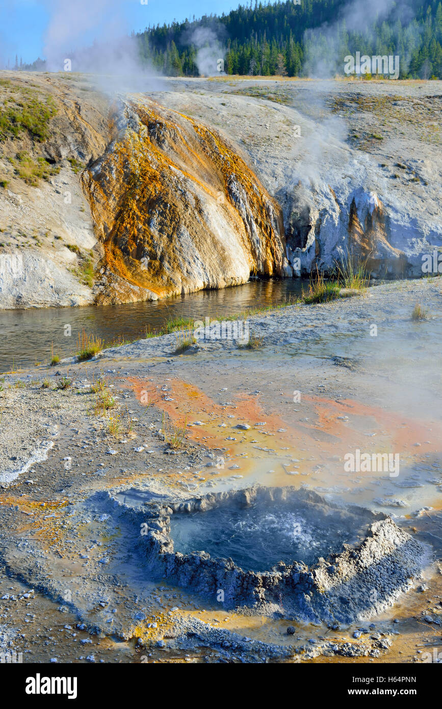 small boiling geyser in Upper Geyser basin of Yellowstone National Park ...