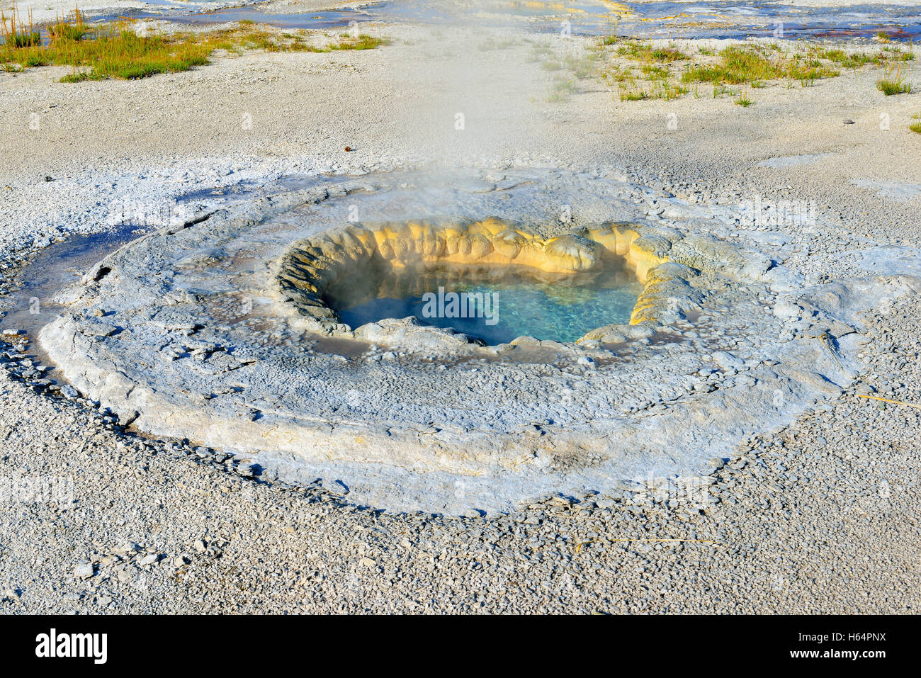 small boiling geyser in Upper Geyser basin of Yellowstone National Park ...