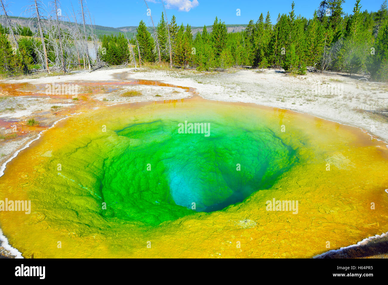 colorful Morning Glory geyser in Upper Geyser basin of Yellowstone ...
