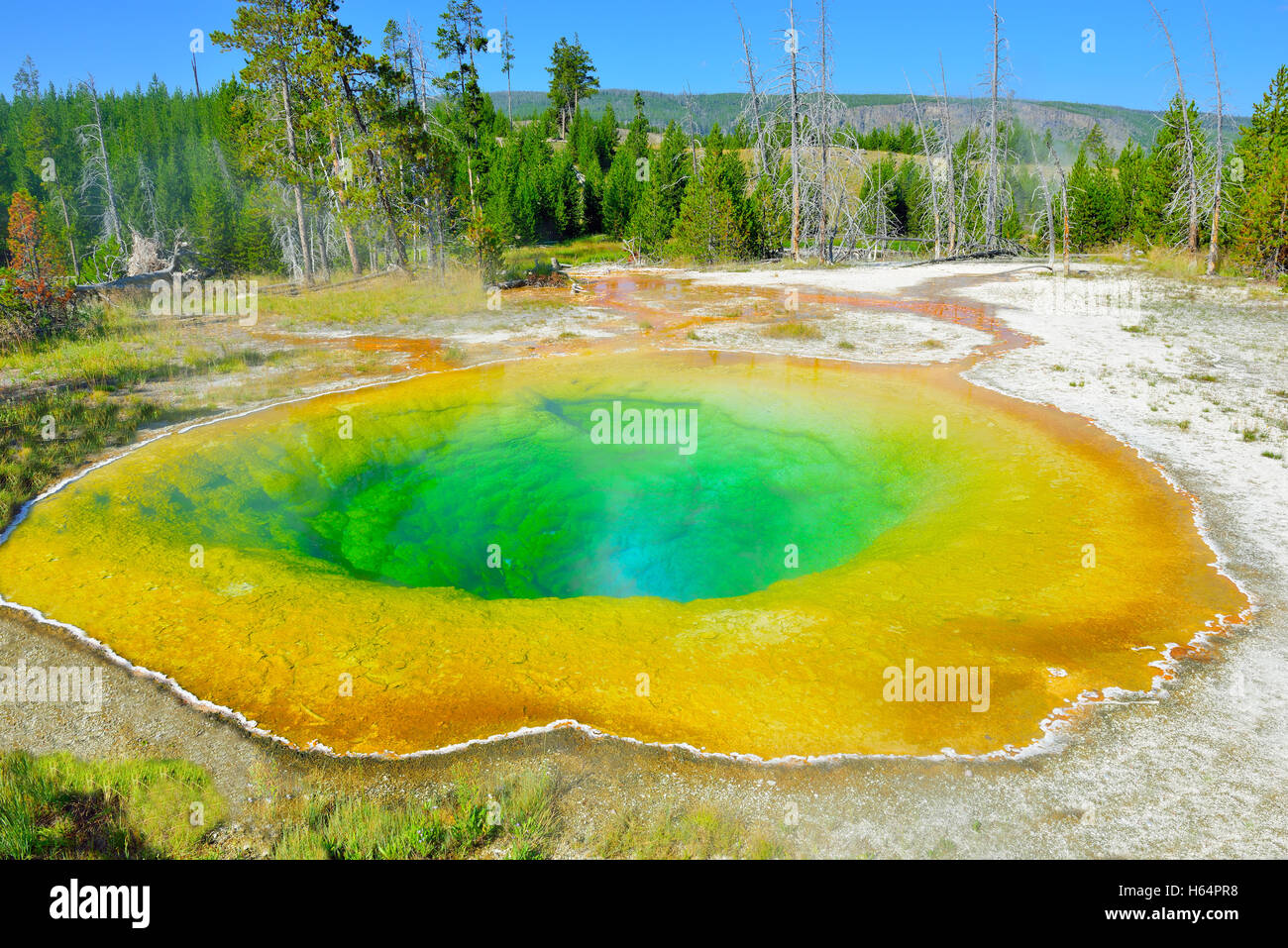 colorful Morning Glory geyser in Upper Geyser basin of Yellowstone ...