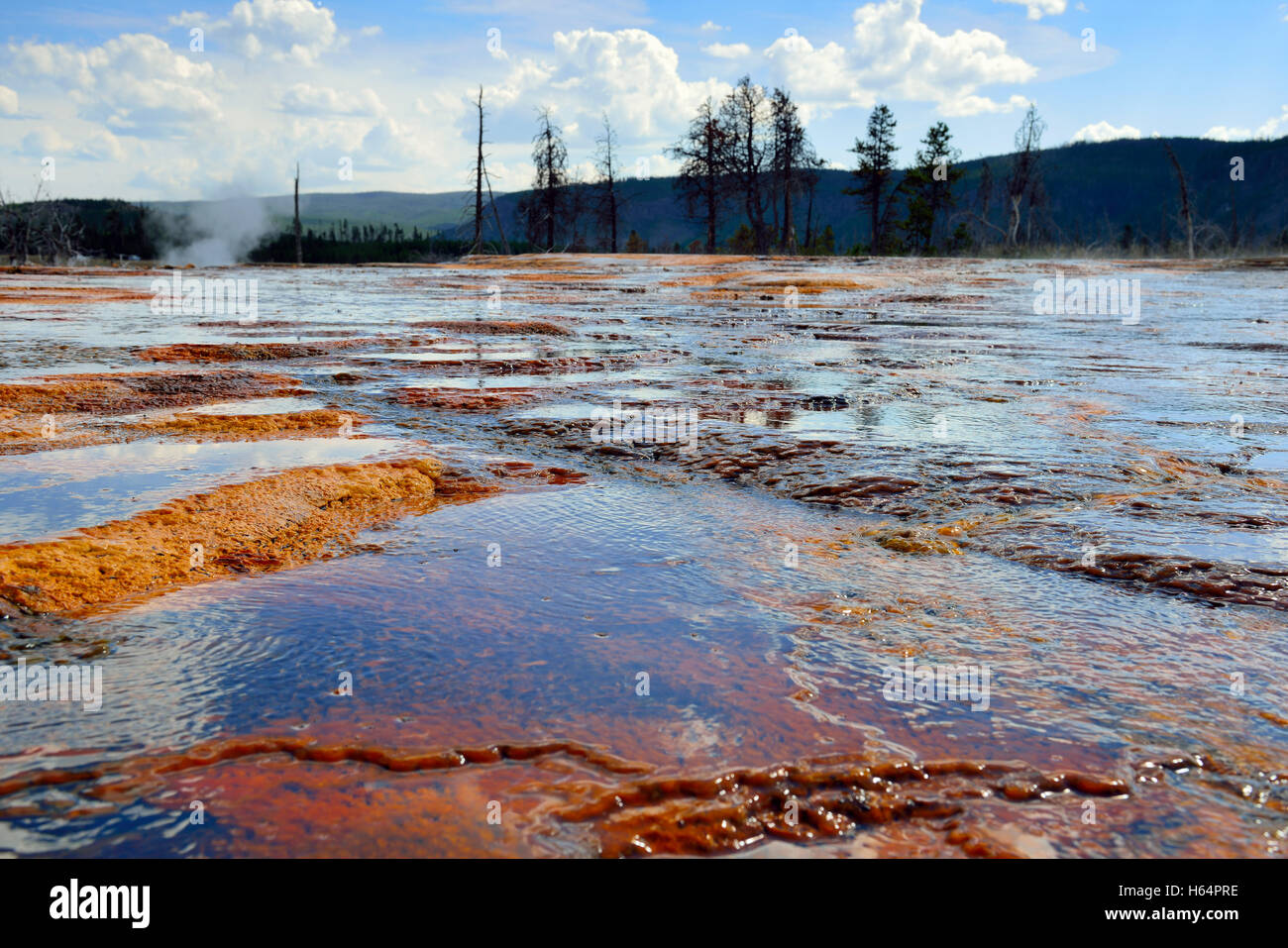 Biscuit Basin in Yellowstone National Park in Summer Stock Photo - Alamy