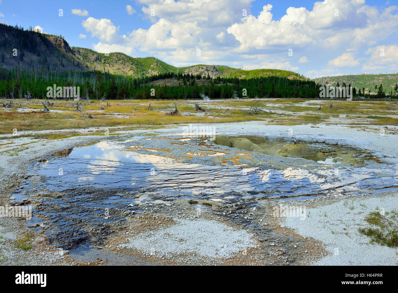 Biscuit Basin in Yellowstone National Park in Summer Stock Photo - Alamy