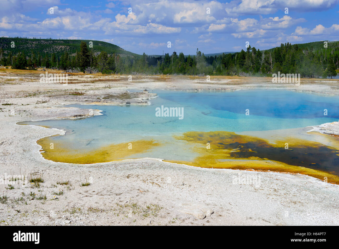 Biscuit Basin in Yellowstone National Park in Summer Stock Photo - Alamy