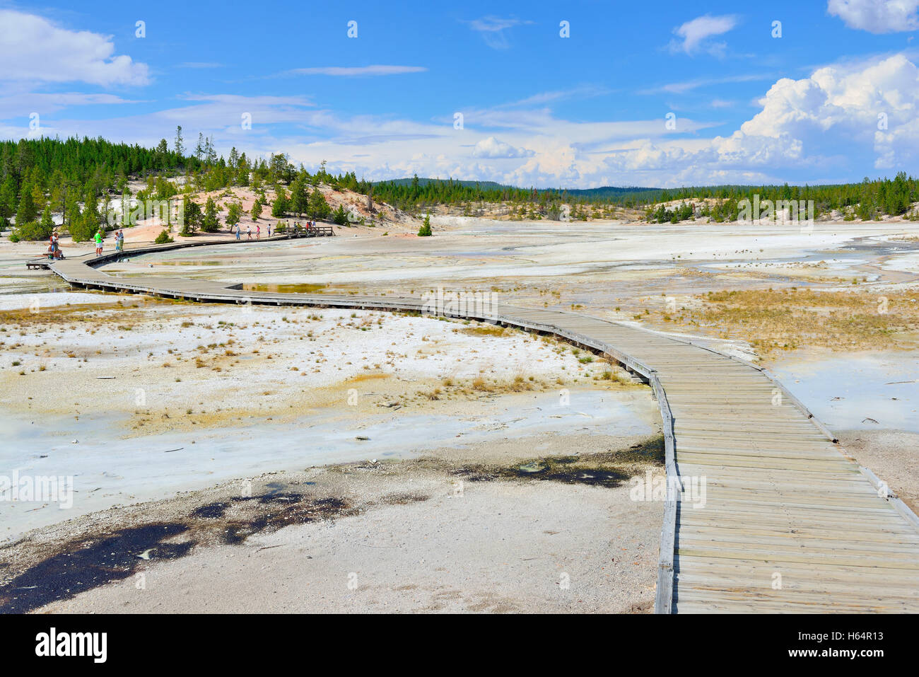 walkway through the Norris Geyser Basin in Yellowstone National Park ...