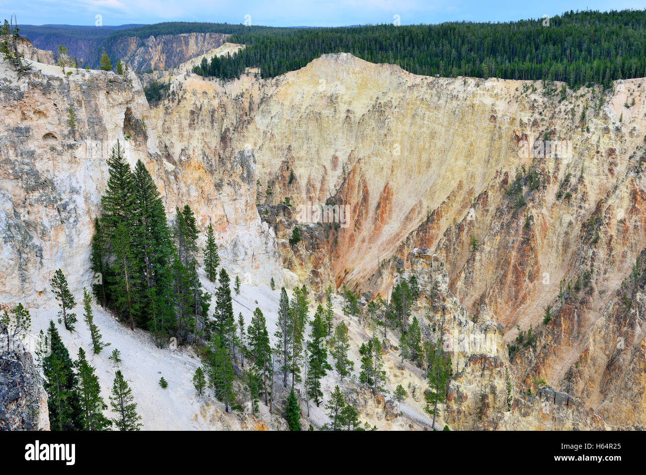 side wall of the canyon of the yellowstone in wyoming during summer ...