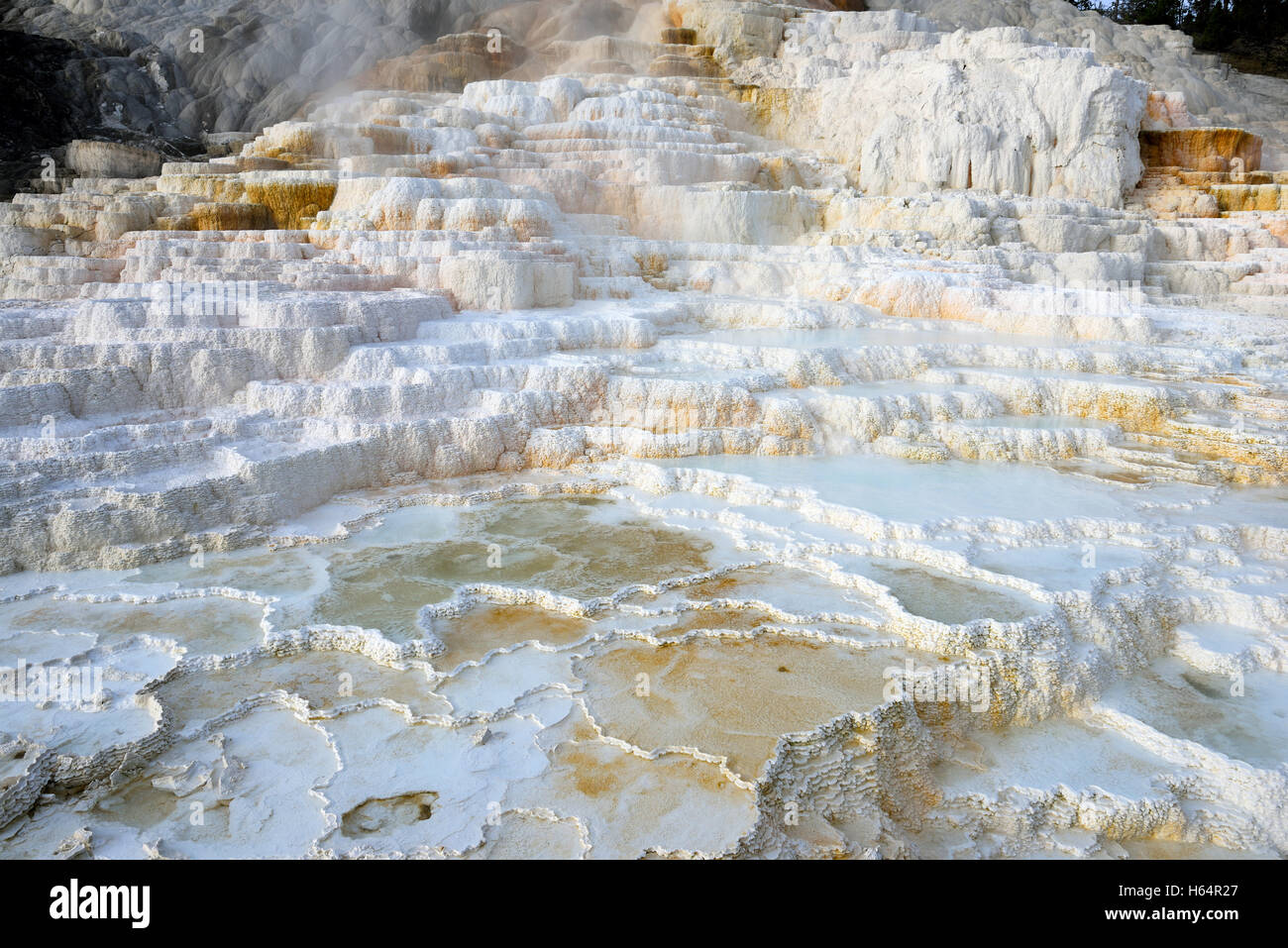 Palette Spring in Mammoth Hot Springs area of Yellowstone National Park ...