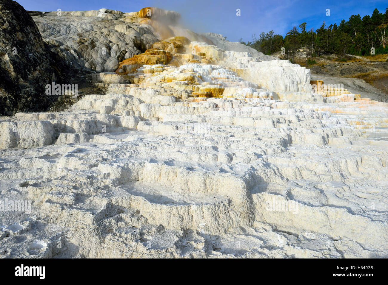 Palette Spring in Mammoth Hot Springs area of Yellowstone National Park ...