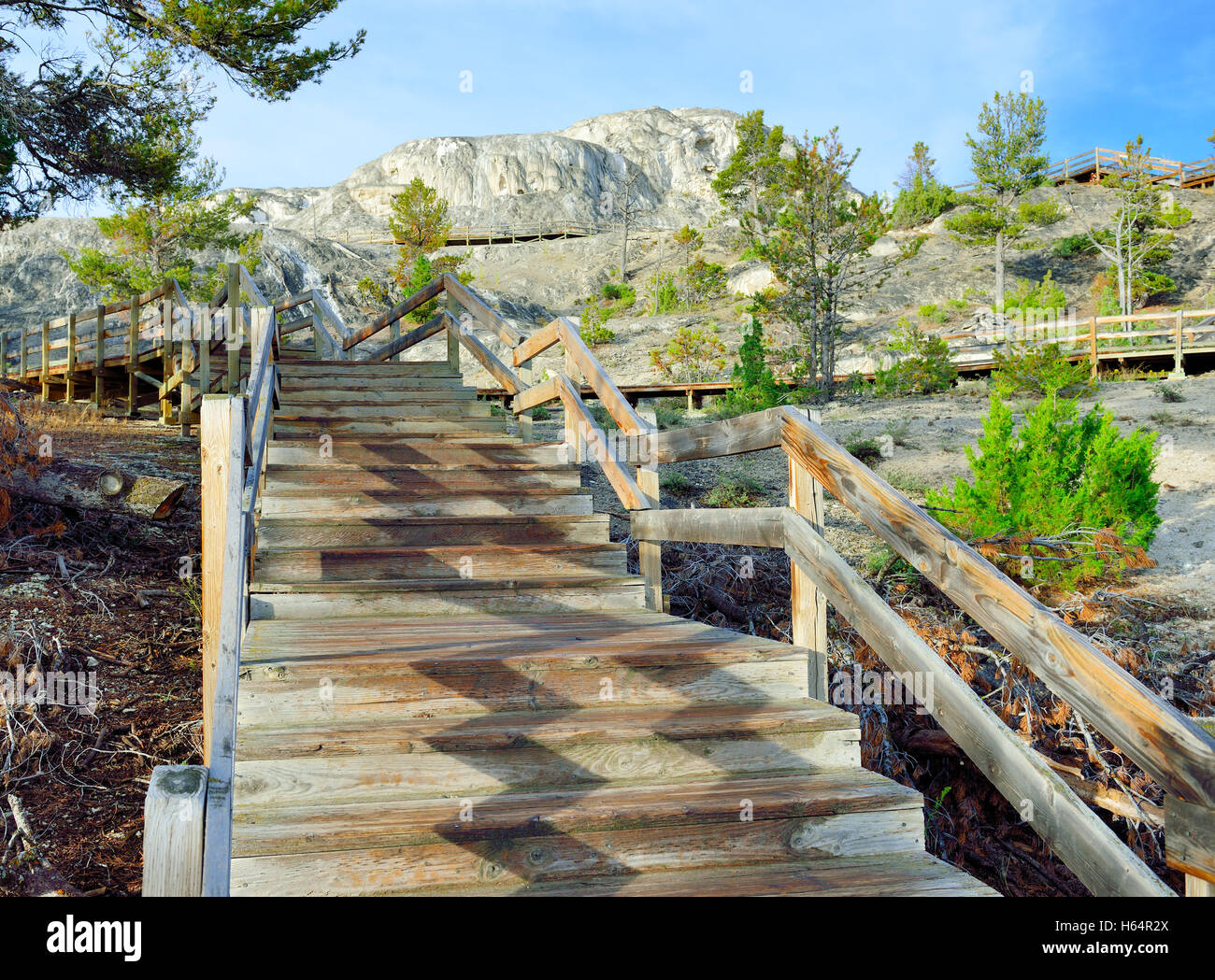 wooden walkway across Minerva Terrace in Mammoth Hot Springs area of ...