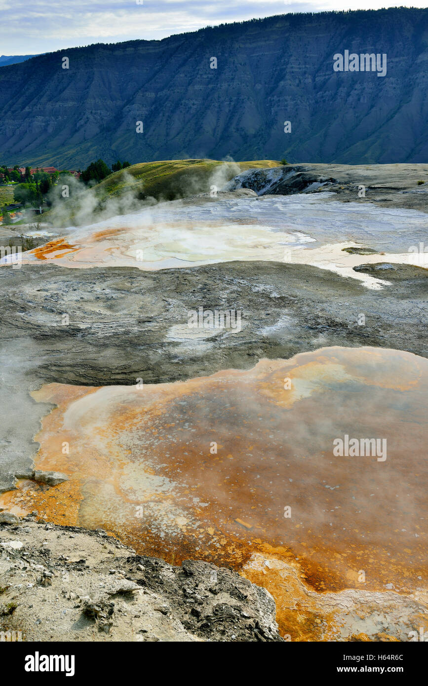 New Blue Spring in Mammoth Hot Springs area of Yellowstone National ...