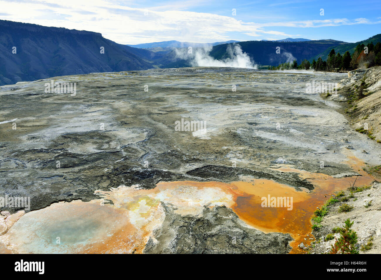 New Blue Spring in Mammoth Hot Springs area of Yellowstone National ...