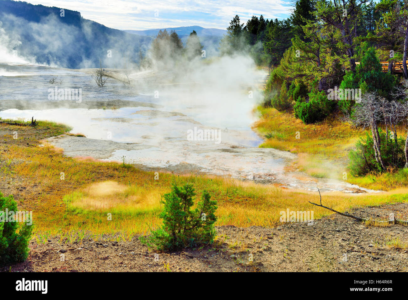 New Blue Spring in Mammoth Hot Springs area of Yellowstone National ...