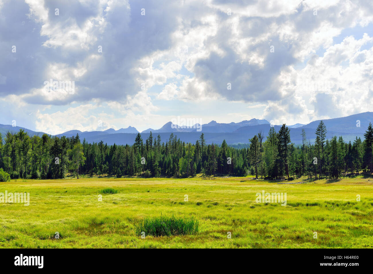 Montana Scenery near Glacier National Park in Summer Stock Photo - Alamy