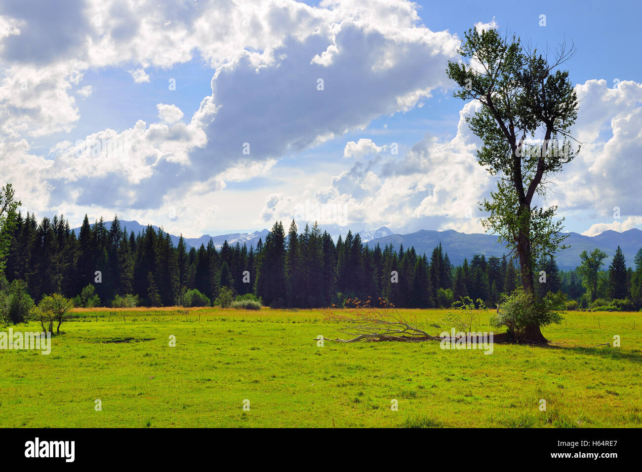 Montana Scenery near Glacier National Park in Summer Stock Photo - Alamy